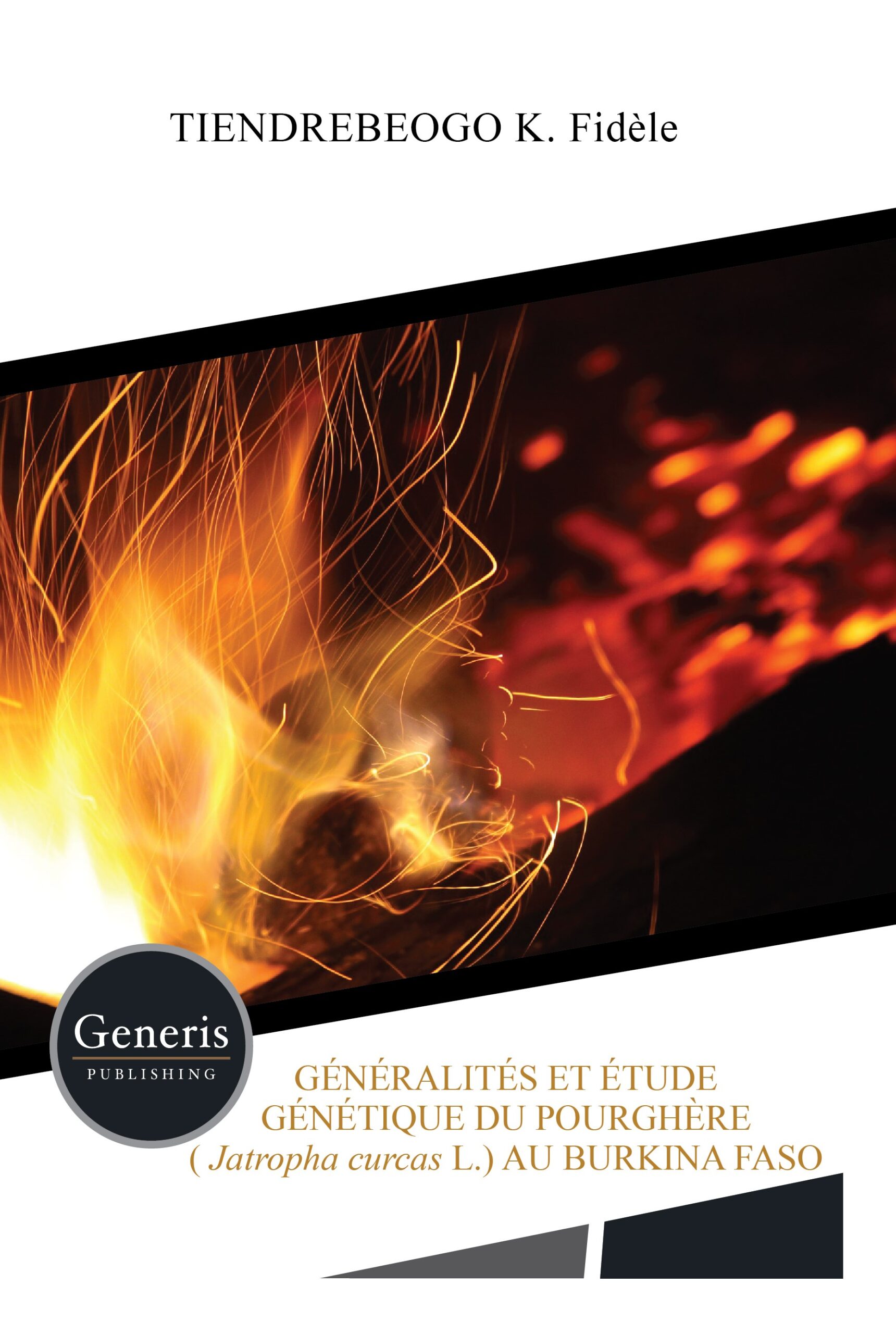 GÉNÉRALITÉS ET ÉTUDE GÉNÉTIQUE DU POURGHЀRE (Jatropha curcas L.) AU ...